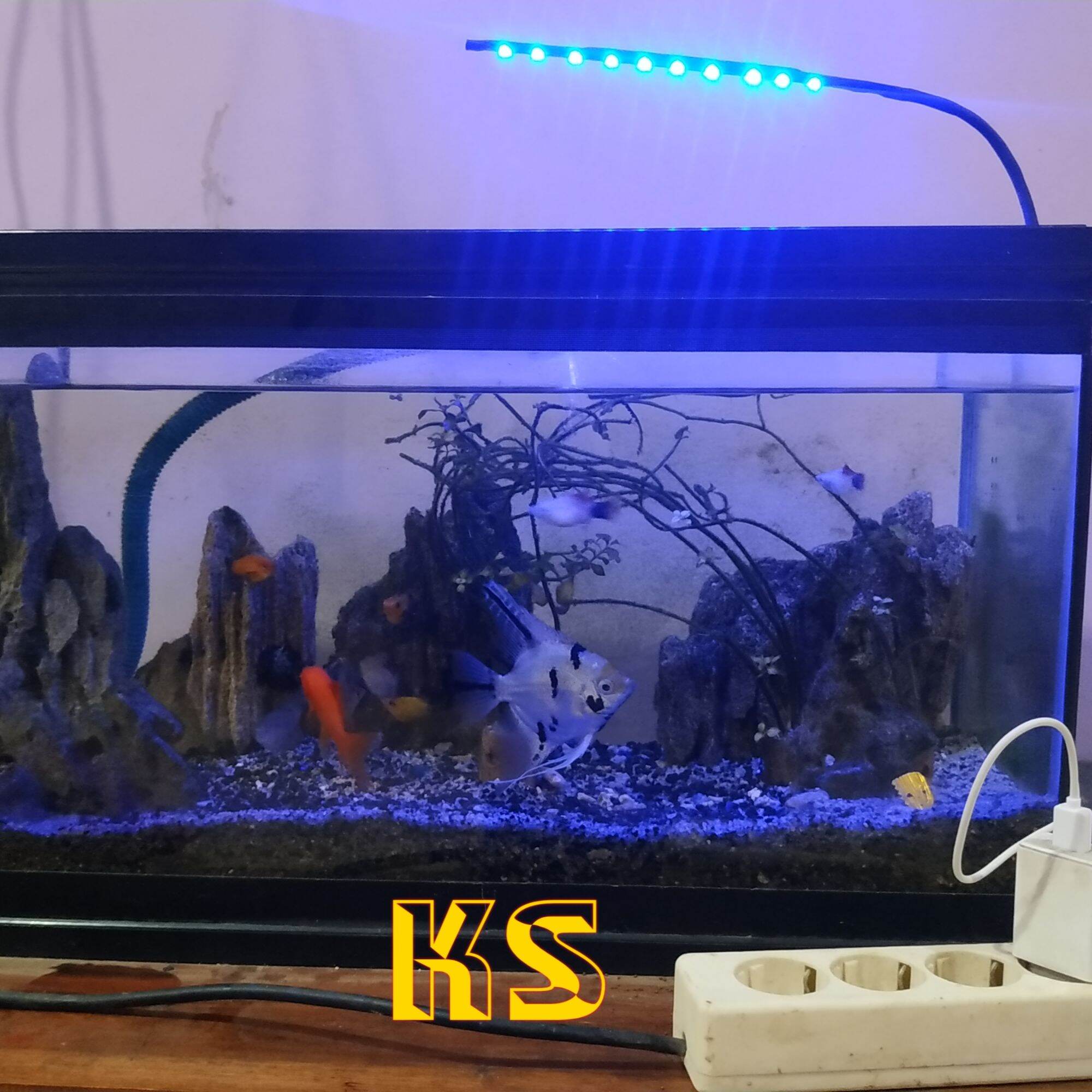 lampu aquarium 10 mata led smd blue lampu aquascape lampu akuarium ...