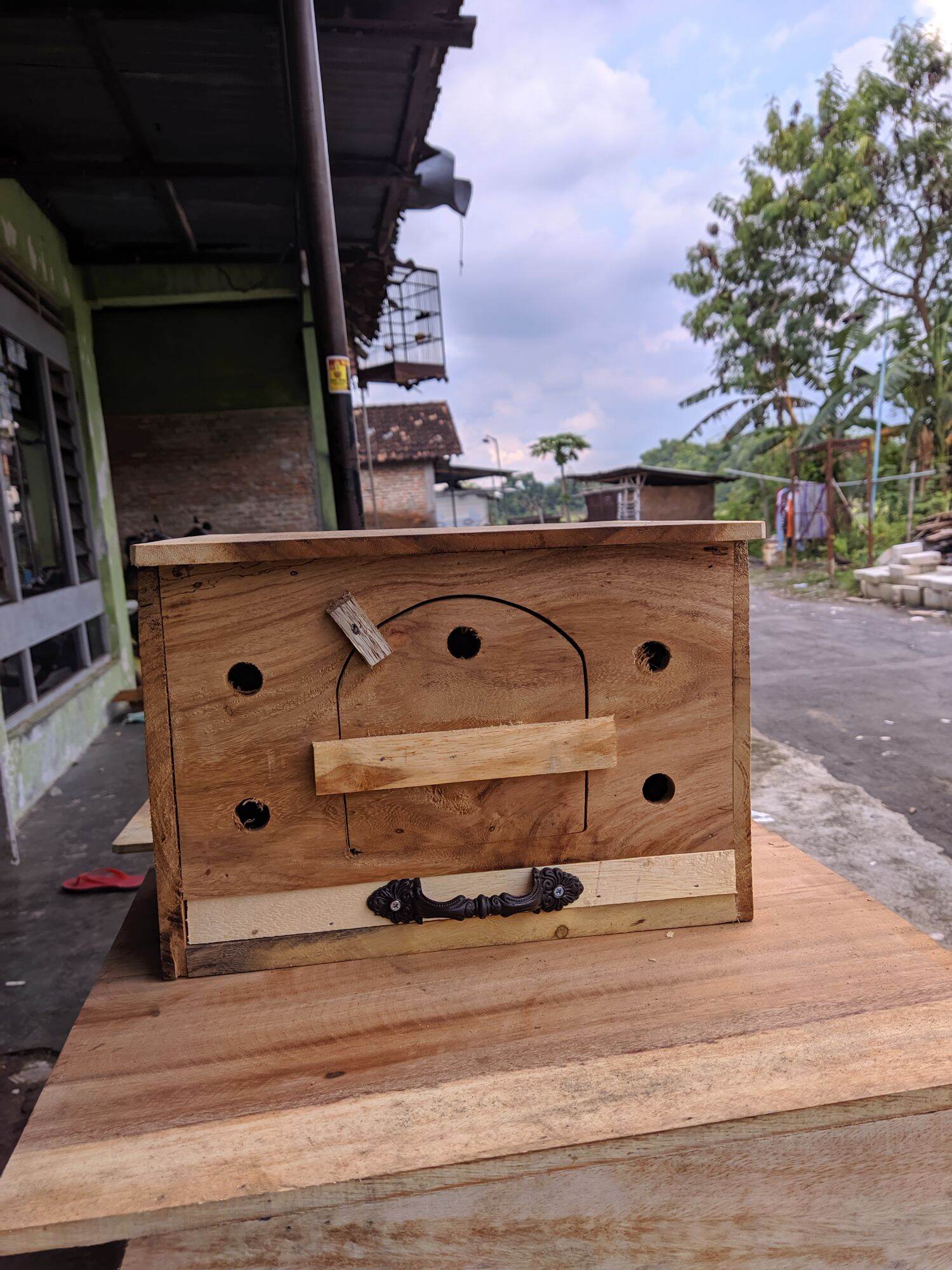 Gupon Merpati murah medium size | Lazada Indonesia