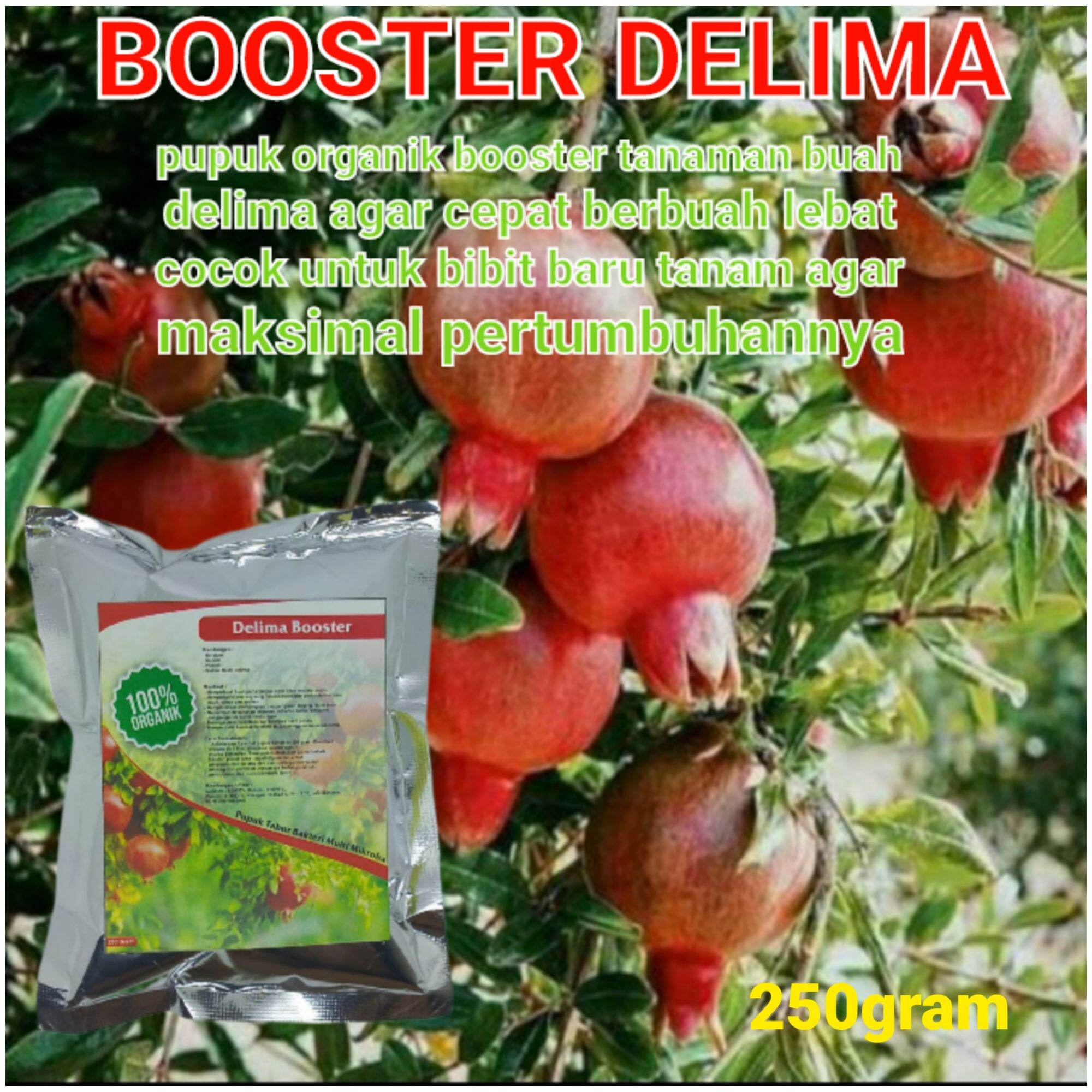 Pupuk buah delima booster pupuk organik pelebat tanaman buah delima mencegah rontok bunga ...