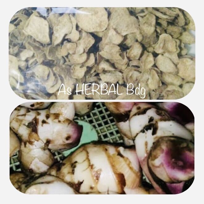 Umbi ganyong kering iris 100 gram | Lazada Indonesia
