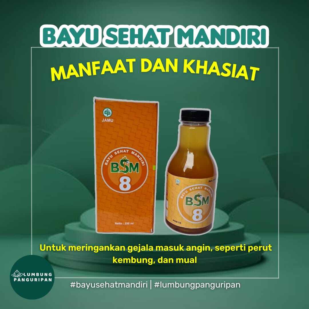 Bayu sehat mandiri BSM 8 | Lazada Indonesia