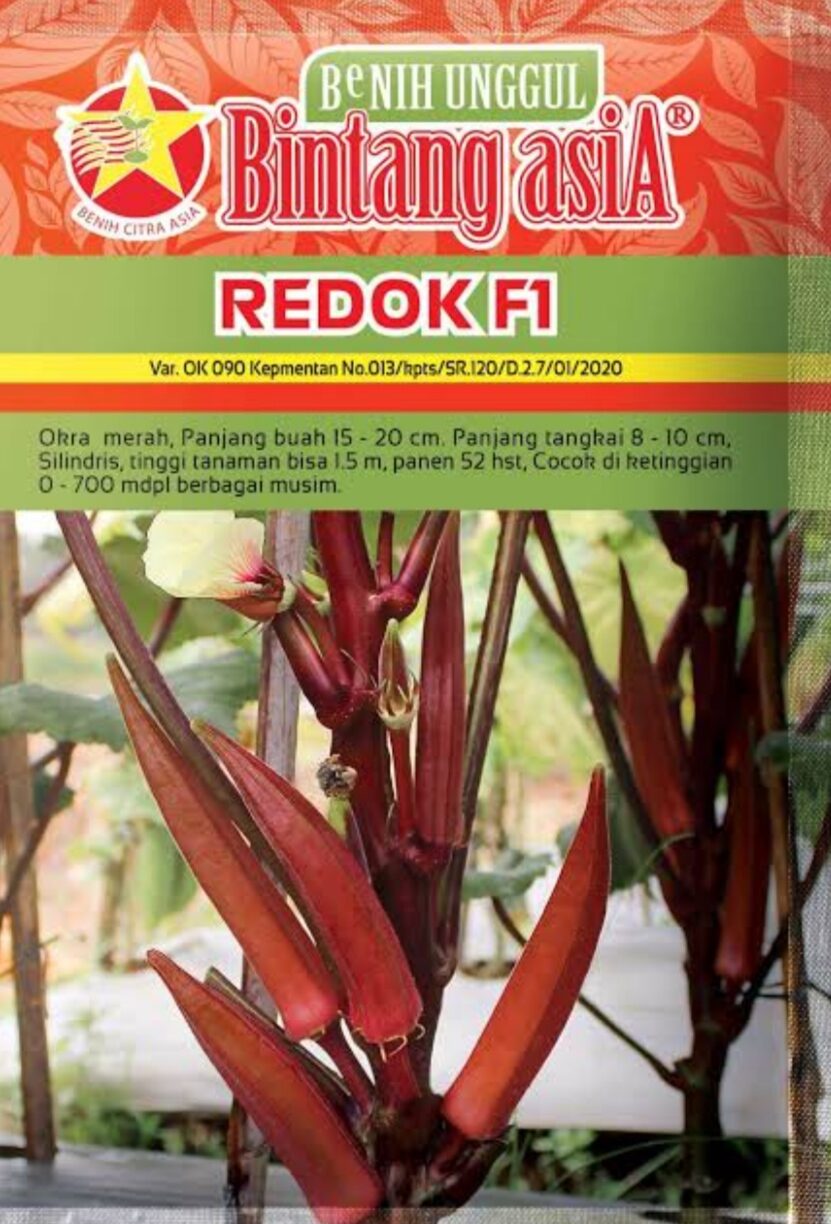 REPACK 20 BUTIR BIJI/BENIH SAYURAN OKRA MERAH REDOK F1 | Lazada Indonesia