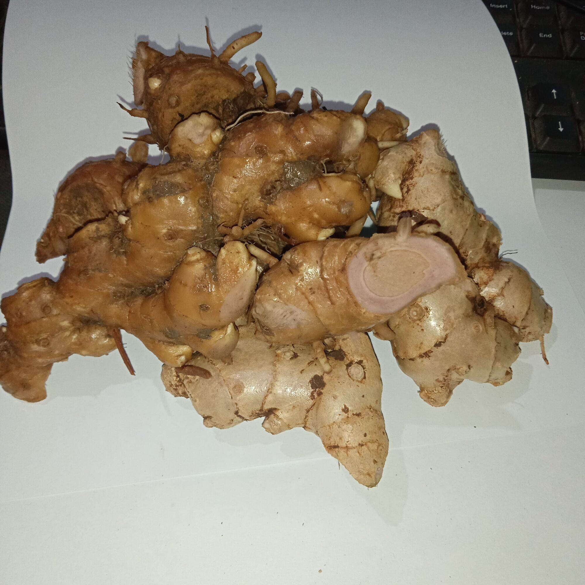 Umbi rimpang bangle temu hitam segar 500 gram | Lazada Indonesia