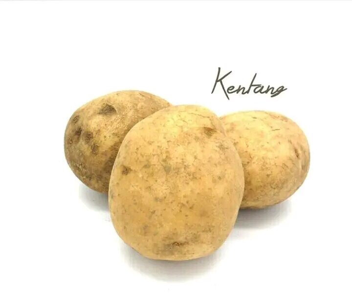 KENTANG SUPER JUMBO /KENTANG KUNING 1 KG MURAH | Lazada Indonesia