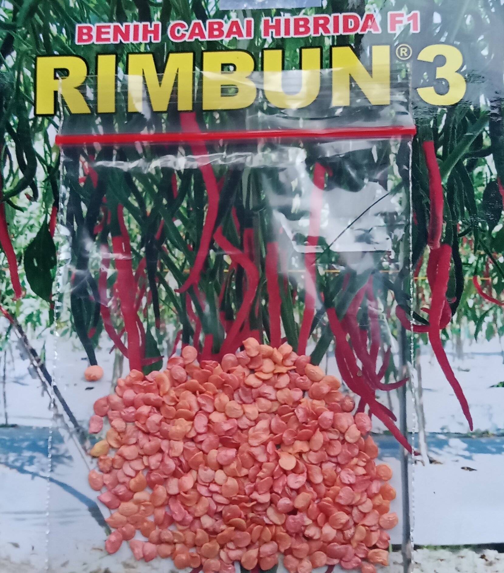 50 Butir Benih CABE CABAI RAWIT RIMBUN ( Kemasan Repack ) | Lazada ... 50 Butir Benih CABE CABAI RAWIT RIMBUN ( Kemasan Repack ) | Lazada ...