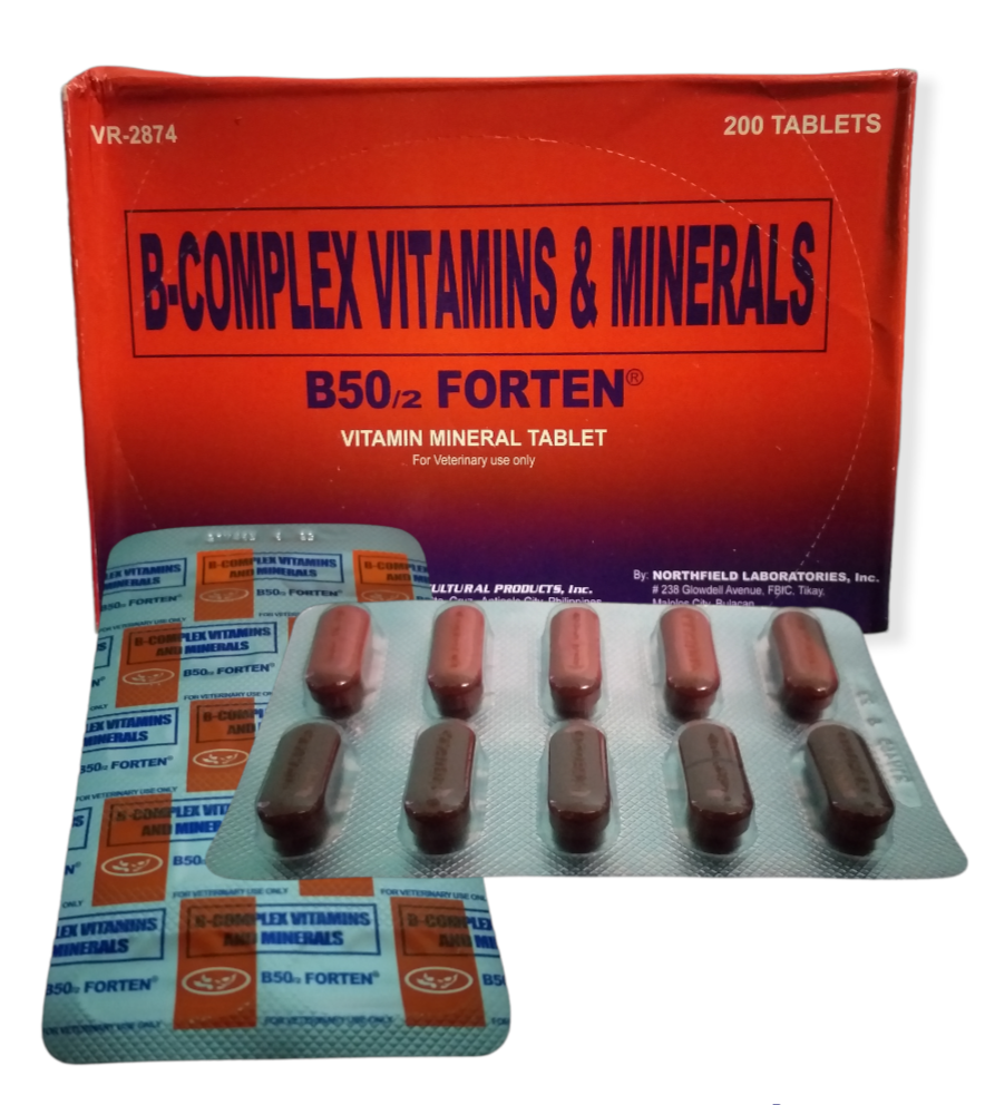 B50 Forten | Lazada Indonesia