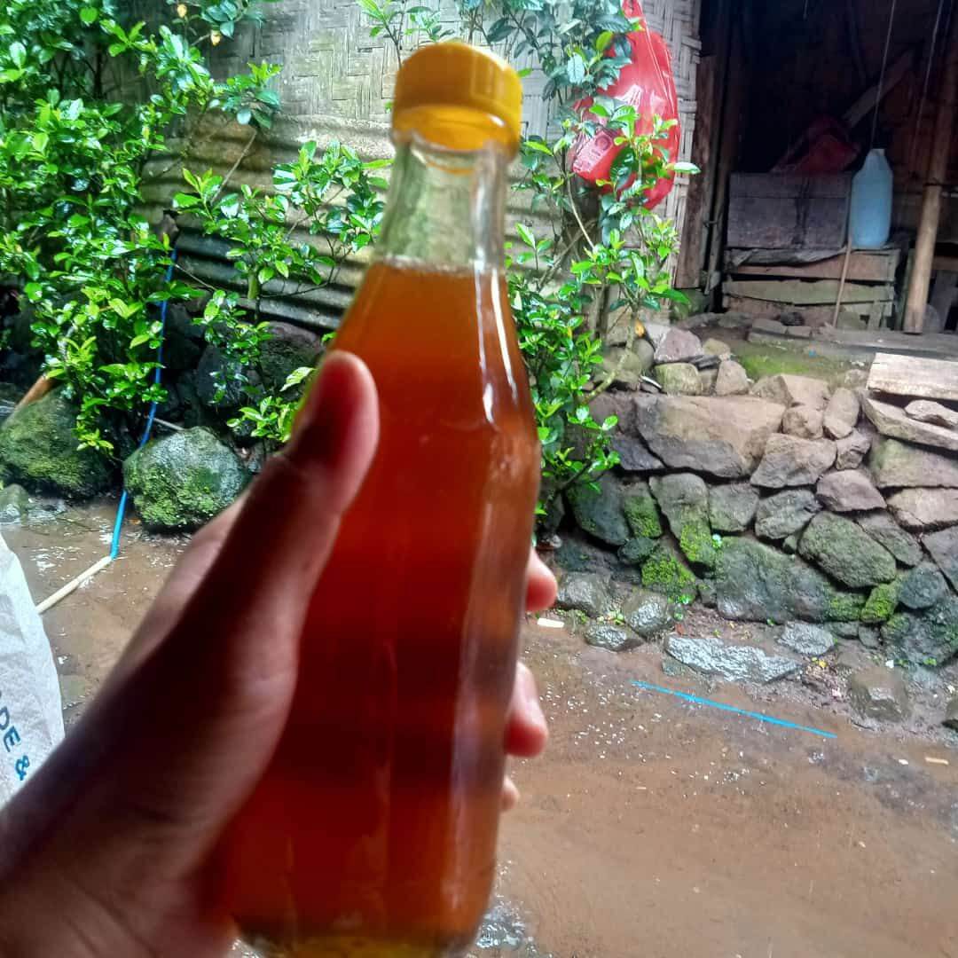 madu murni khas baduy dari lebah odeng | Lazada Indonesia