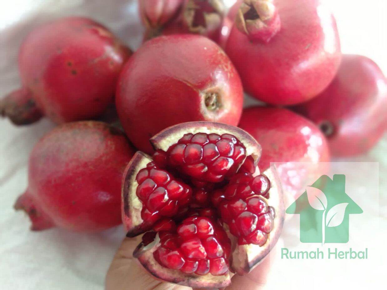 Buah delima merah spanyol per 1kg ukuran kecil isi 8-10 buah | Lazada ...