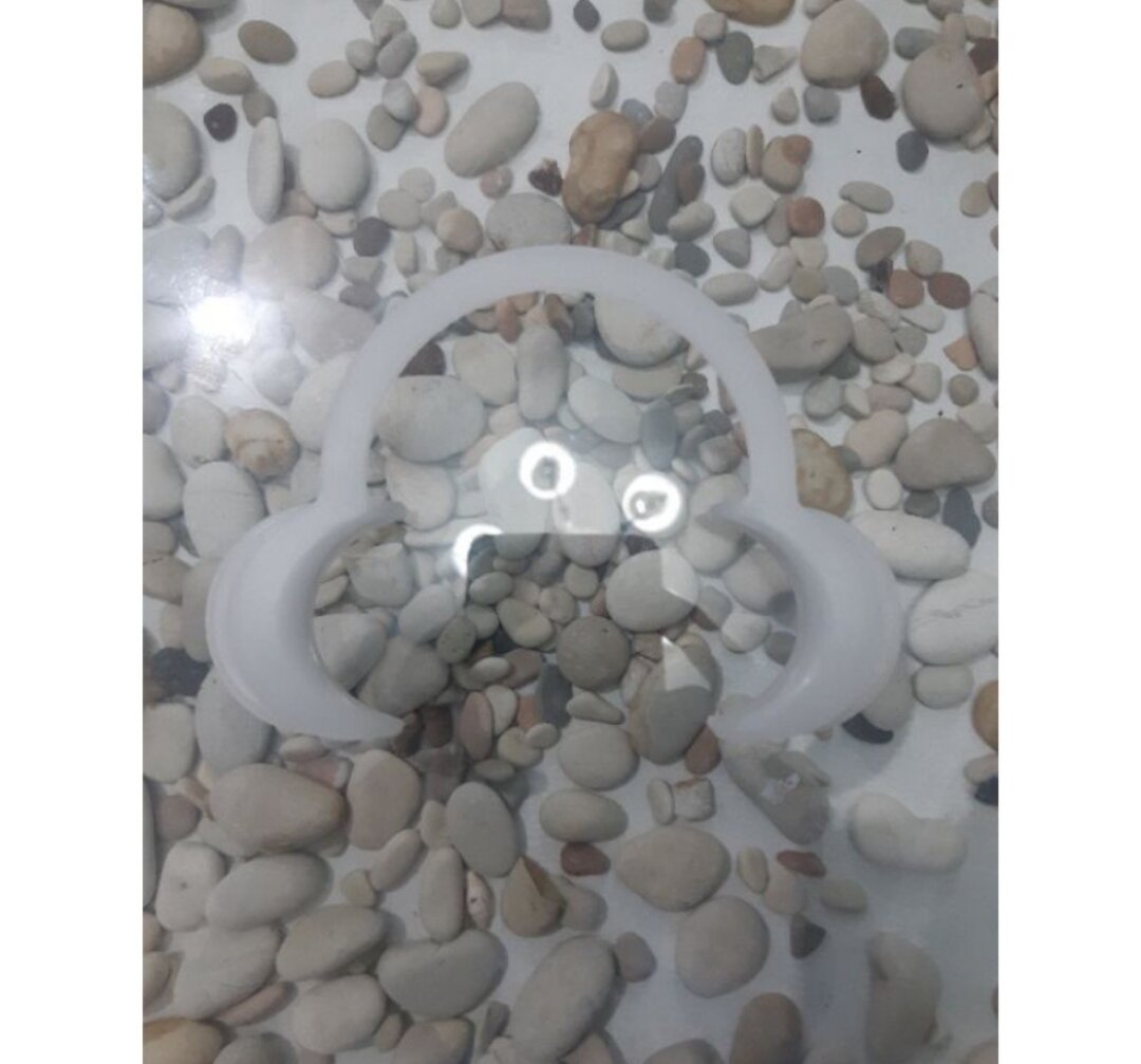 PENYANGGA MULUT/MOUTH GATE/MOUTHGATE | Lazada Indonesia