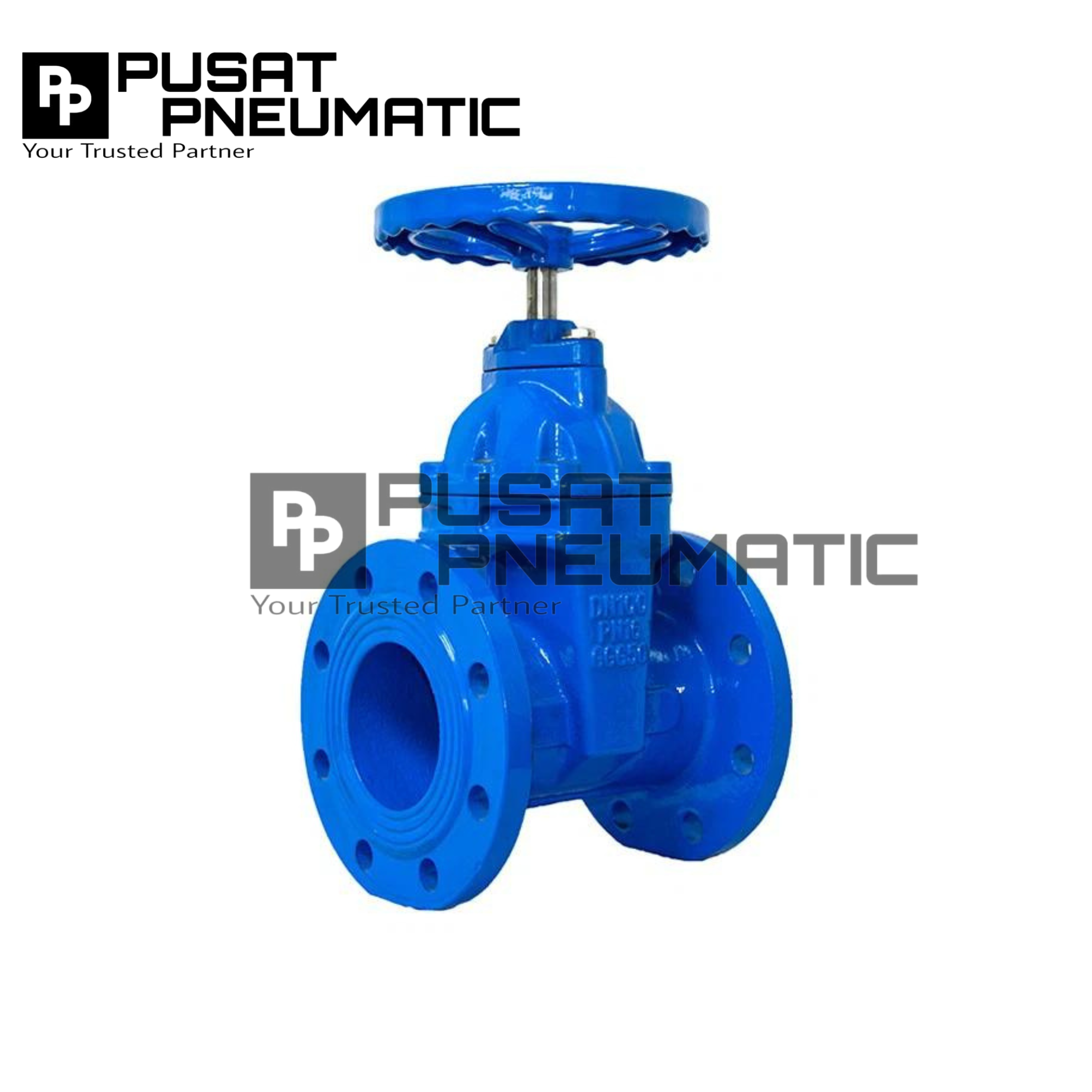 3" Gate Valve Cast Iron Type Flange JIS 10K Size 3 Inch DN 80 | Lazada ...