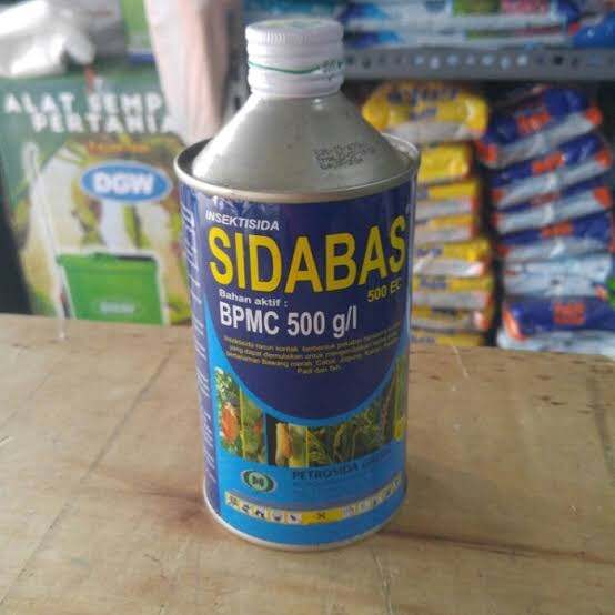 INSEKTISIDA SIDABAS BAHAN AKTIF BPMC 500g/I isi 100 ml | Lazada Indonesia