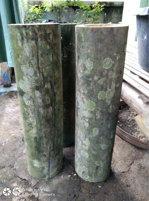 Bilah Bambu Batangan Bilah Bambu Buat Kerajinan Persatu Batang | Lazada ...