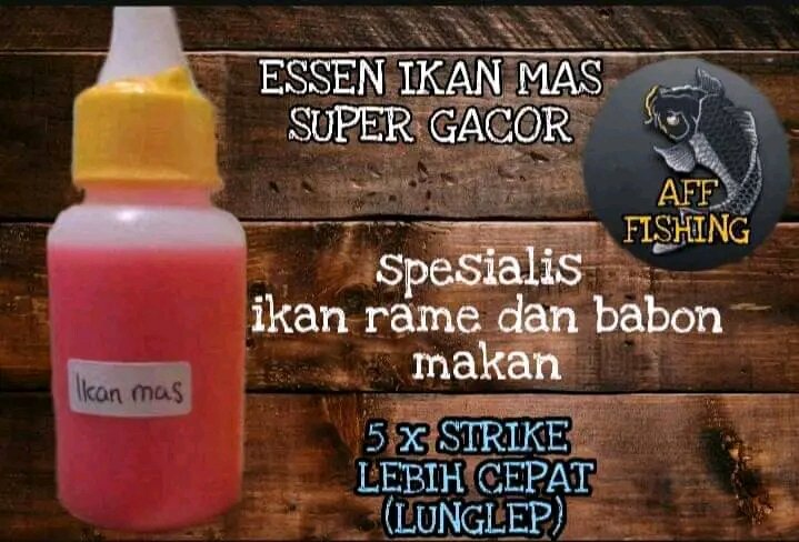 ESSEN IKAN MAS GACOR BEBAS MEDIA UMPAN DAN KUALITAS TERBAIK | Lazada ...