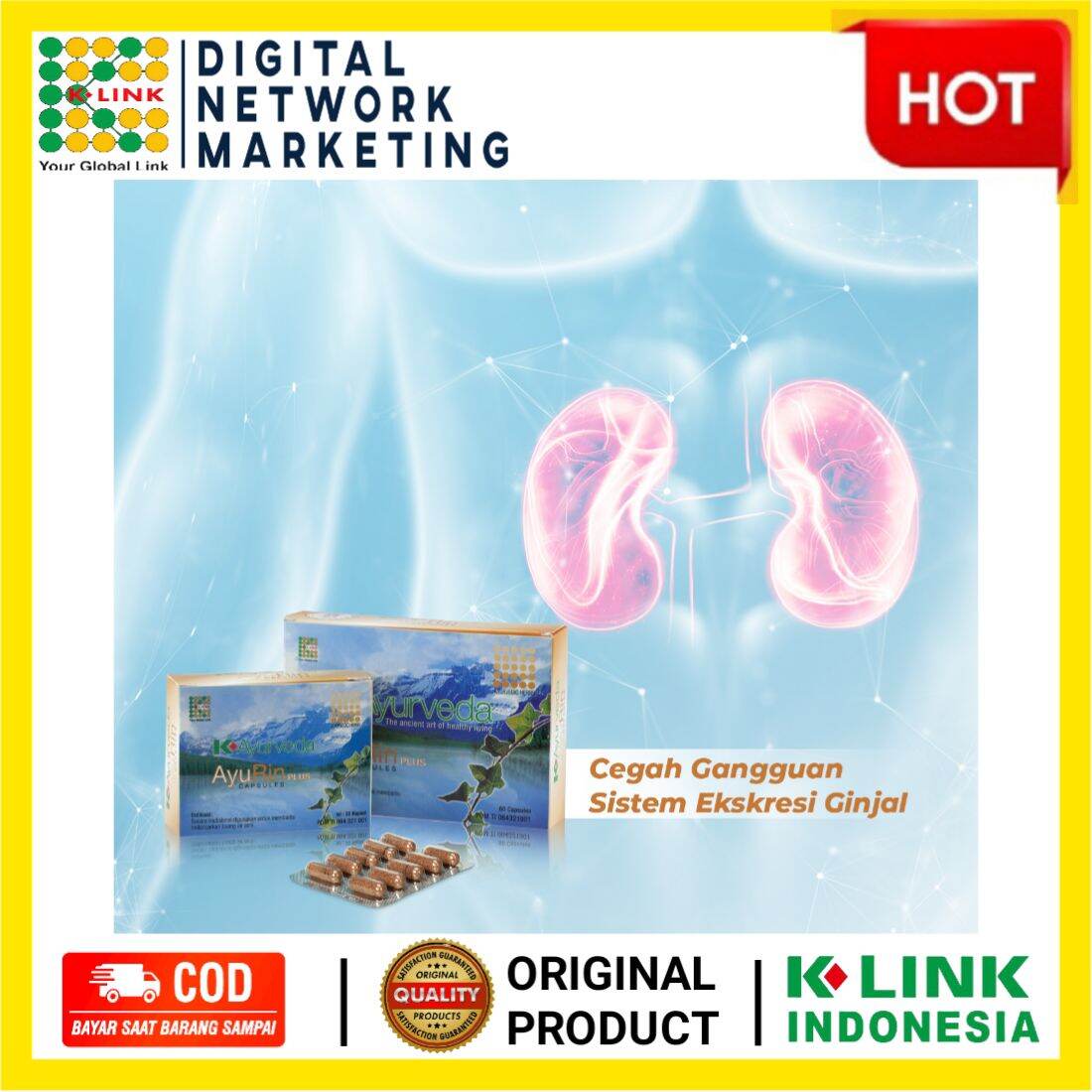 AyuRin Plus ayurveda Produk Herbal 100 % Alami Original K link membantu ...