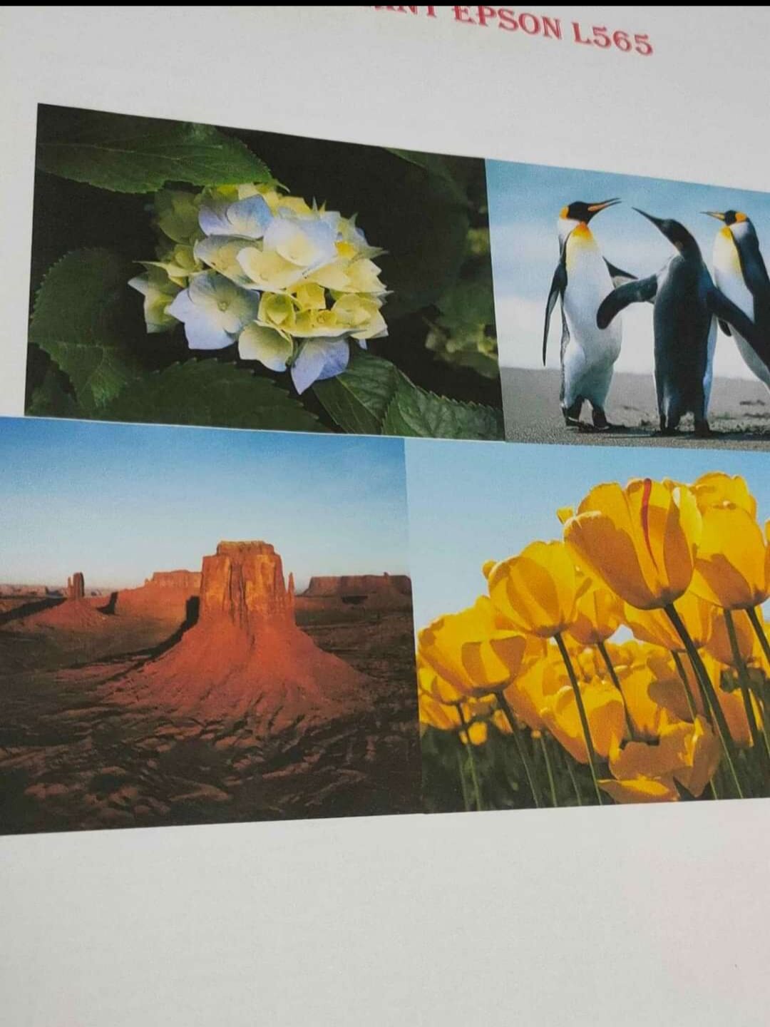 Mesin FotoCopy Epson L565 Print Scan Copy Wi-Fi ADF Kaca scan F4 ...