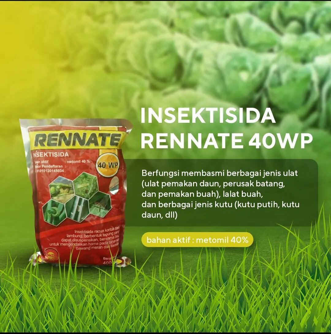 INSEKTISIDA RENNATE | Lazada Indonesia