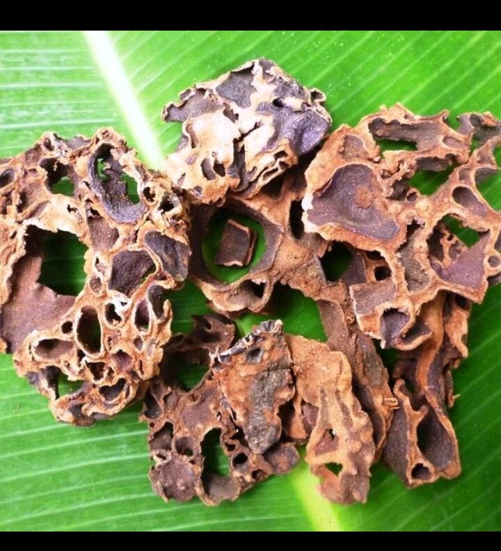 sarang semut asli Papua 500gram | Lazada Indonesia