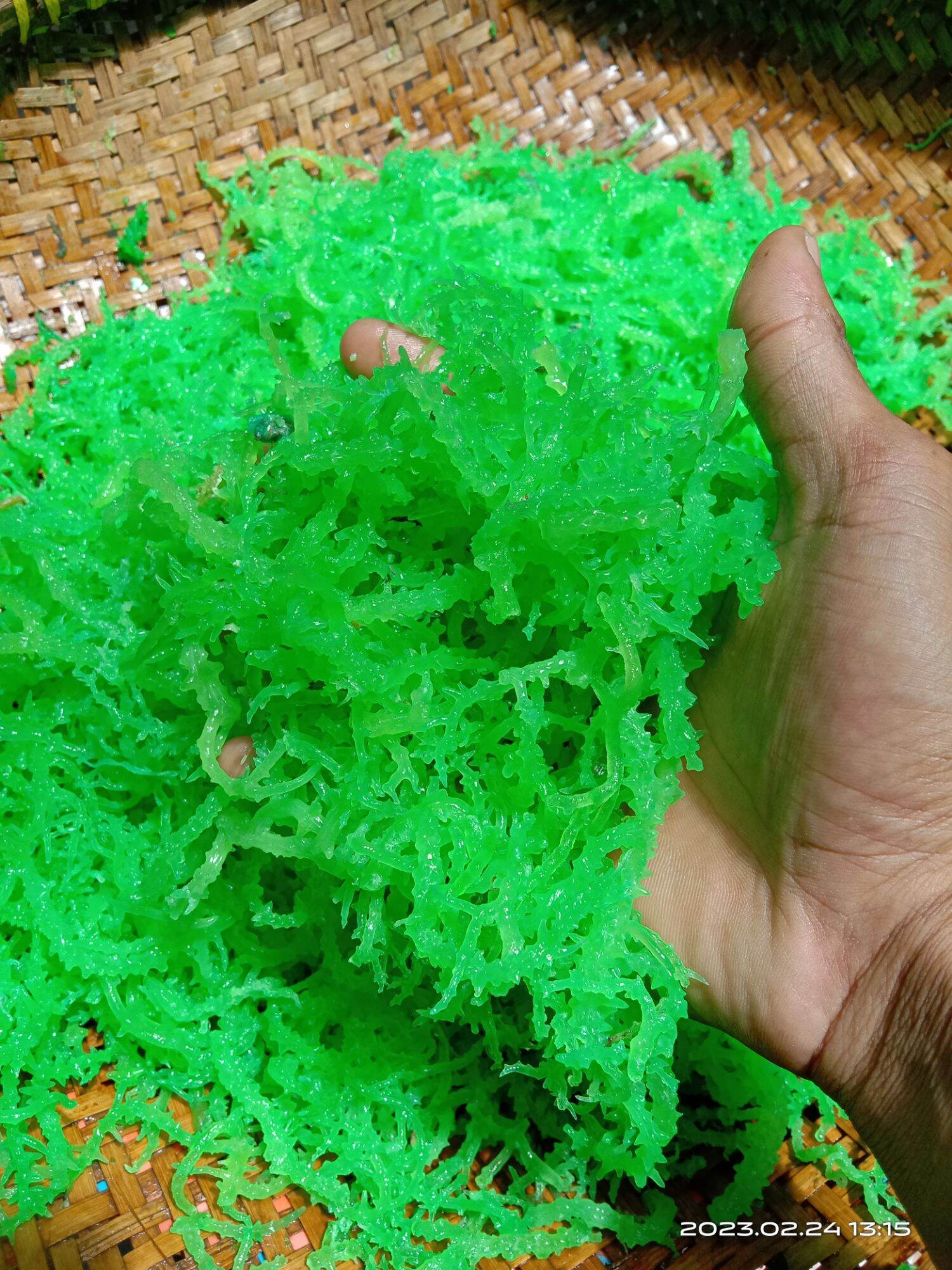 1KG~RUMPUT LAUT HIJAU~RUMPUT LAUT FRESH | Lazada Indonesia
