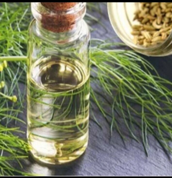 minyak adas/penel oil | Lazada Indonesia