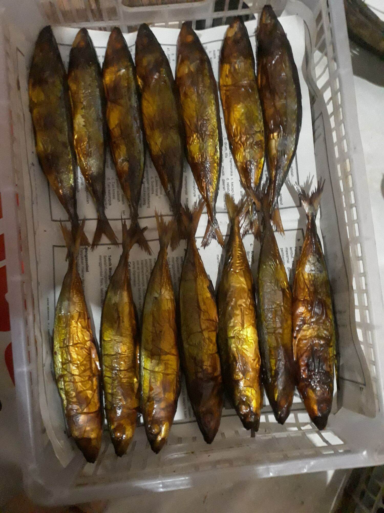 ikan layang asap khas pemalang isi 8 | Lazada Indonesia