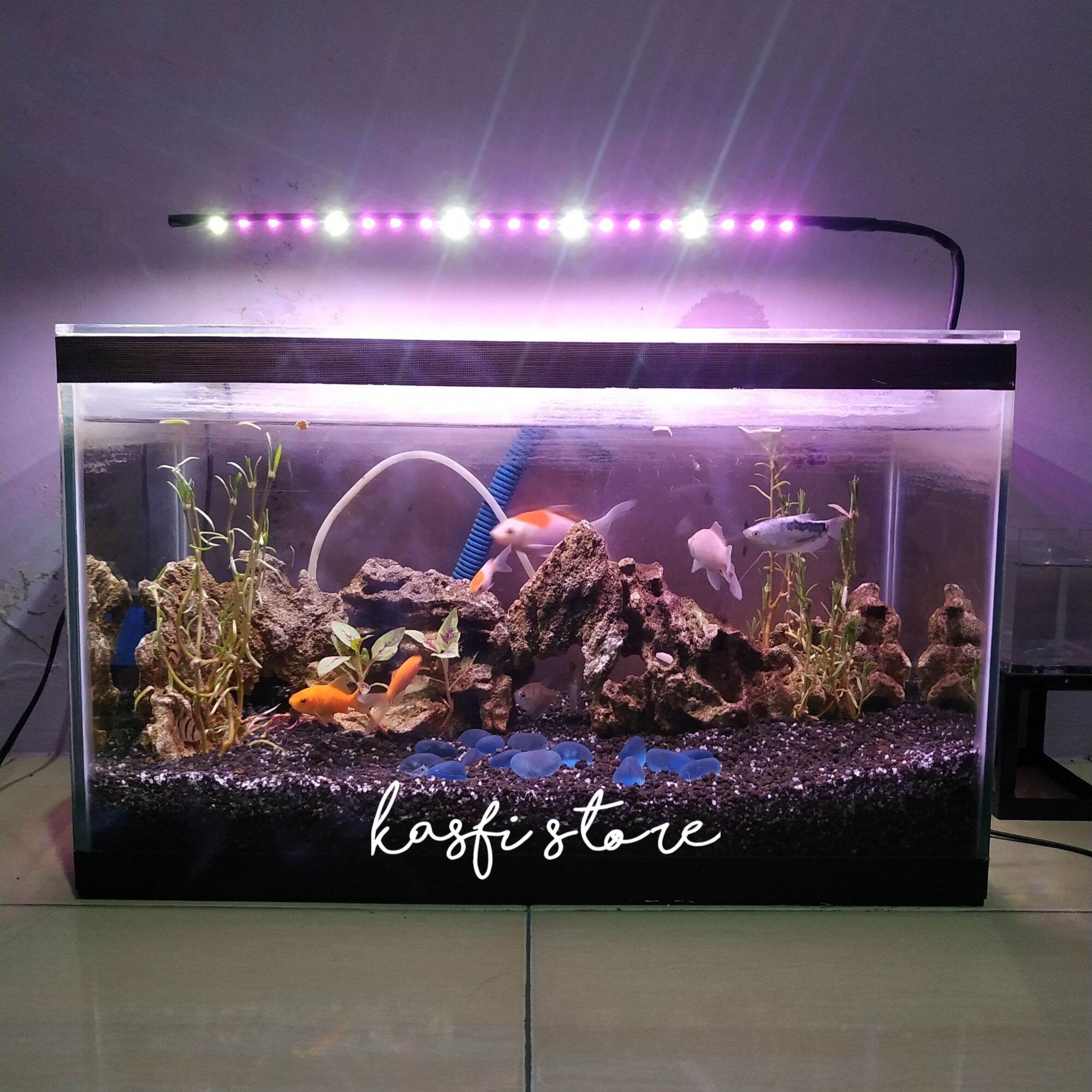 Lampu aquarium 20 mata LED smd pink putih 40cm lampu aquascape lampu ...