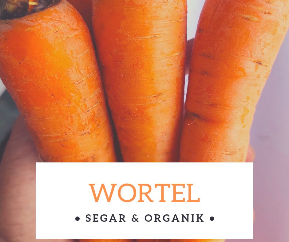 wortel pangalengan 500gram | Lazada Indonesia