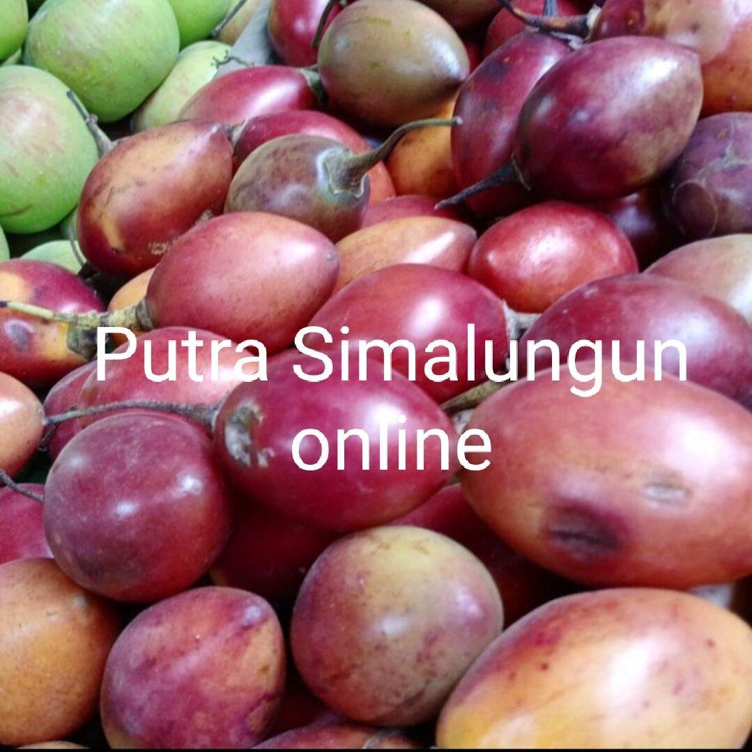 Terong belanda atau Tiung segar 2 kg | Lazada Indonesia