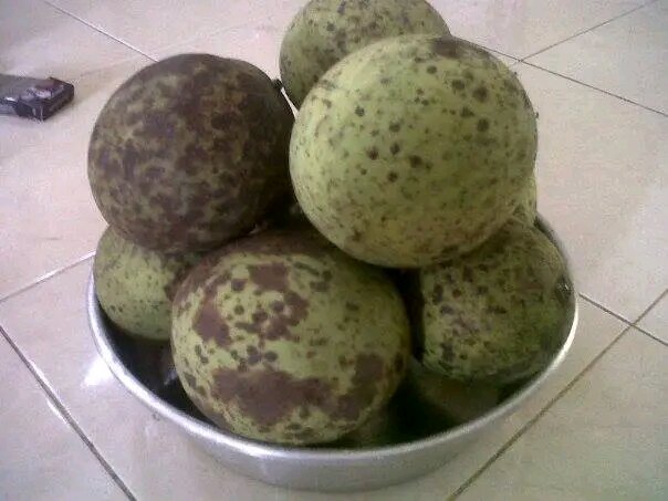 Buah pakel limus segar per 1kg | Lazada Indonesia