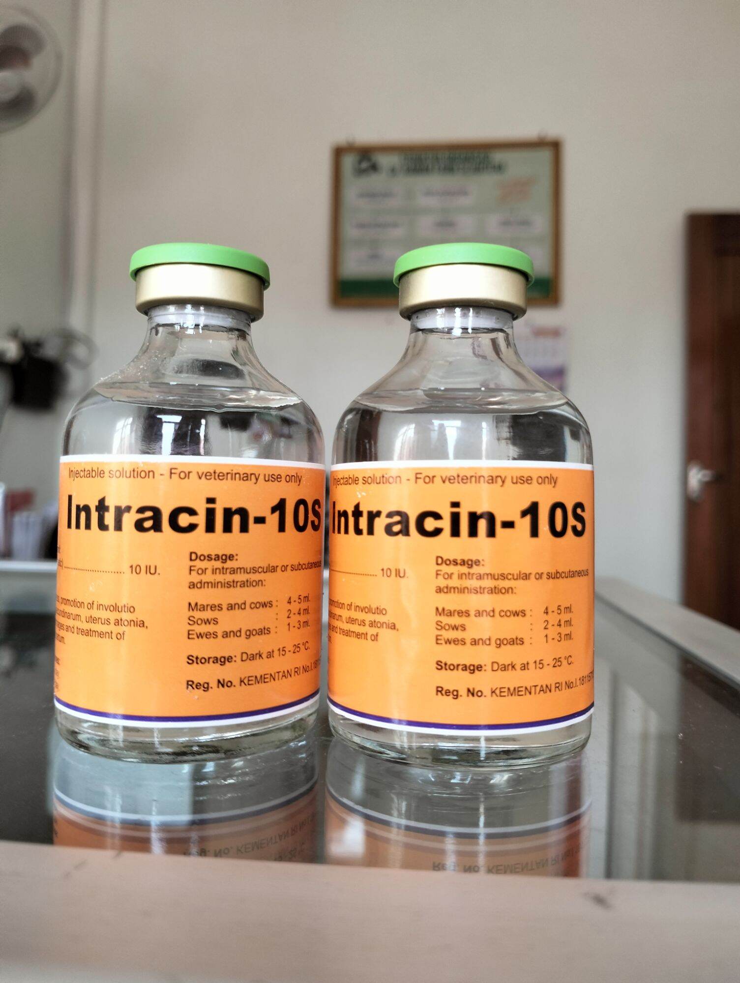 INTRACIN 10 S 50 ML - obat pemacu kontraksi uterus pada hewan ternak ...