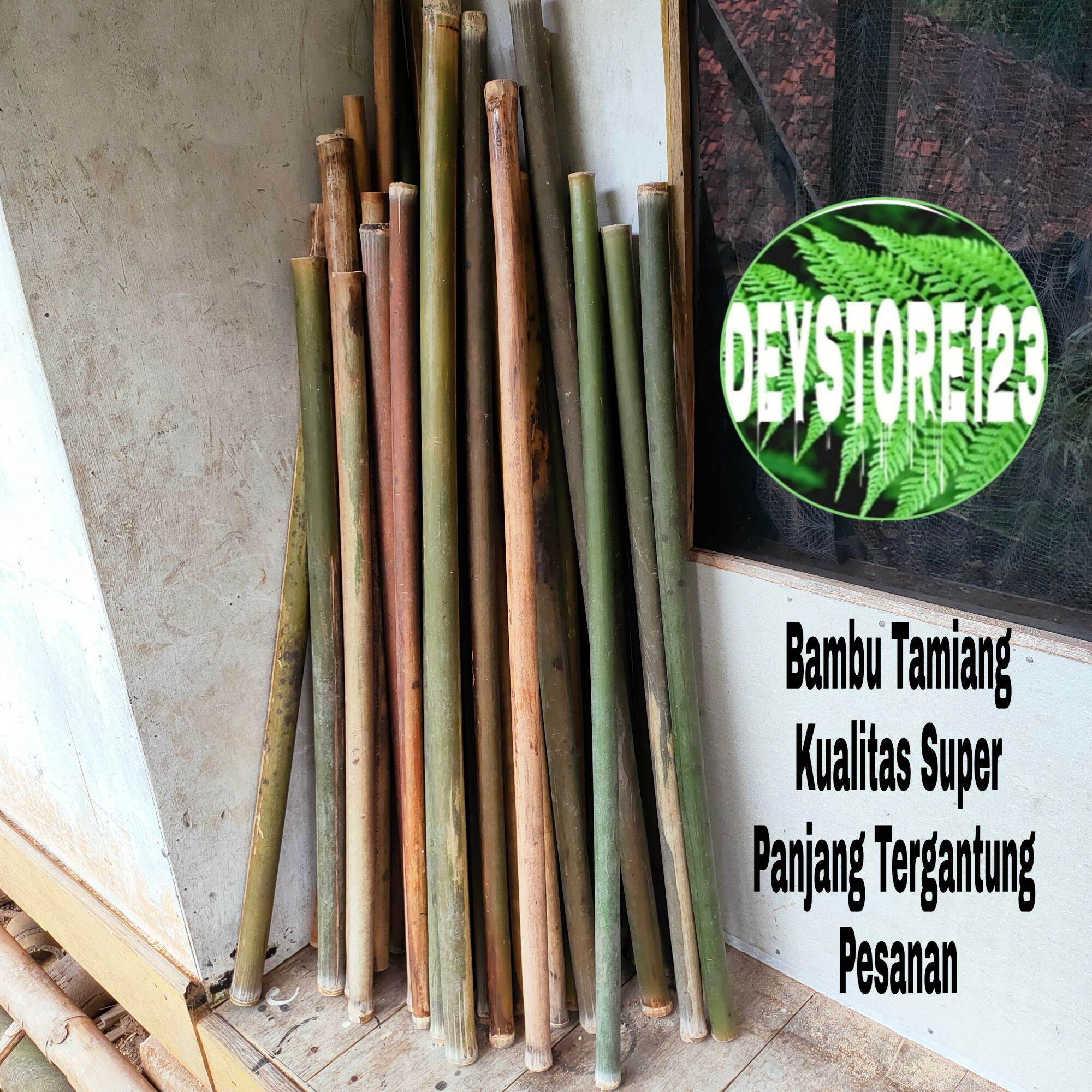 Bambu tamiang super panjang sesuay pesanan | Lazada Indonesia