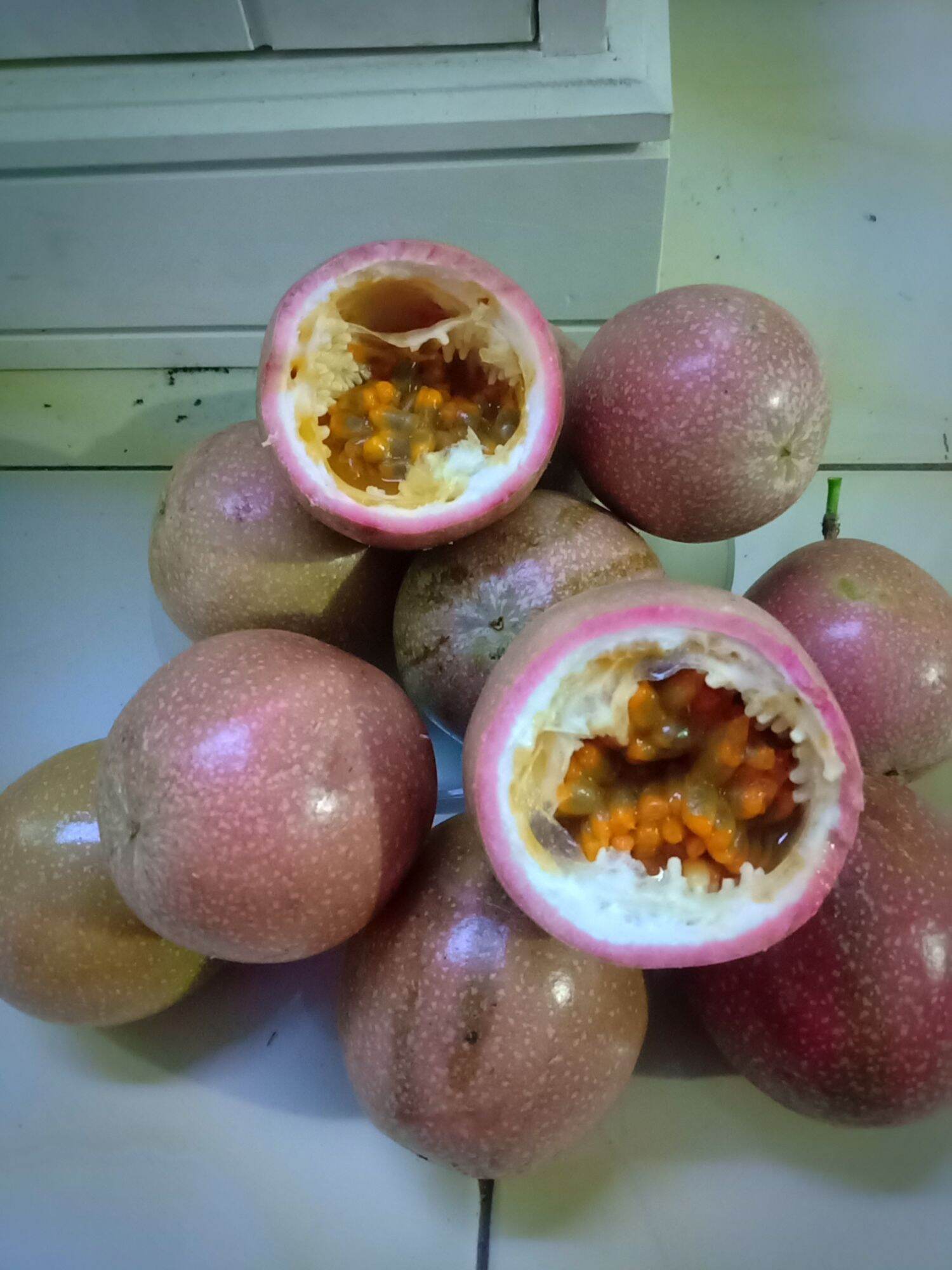 markisa manis 1 kg | Lazada Indonesia