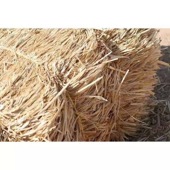 JERAMI KERING 1KG-ALAS KANDANG-BAHAN ATAP JERAMI-BAHAN KERAJINAN ...