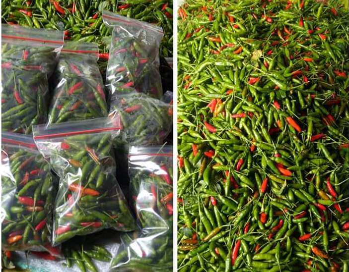 Cabe Rawit gunung super pedas segar per 500gram | Lazada Indonesia