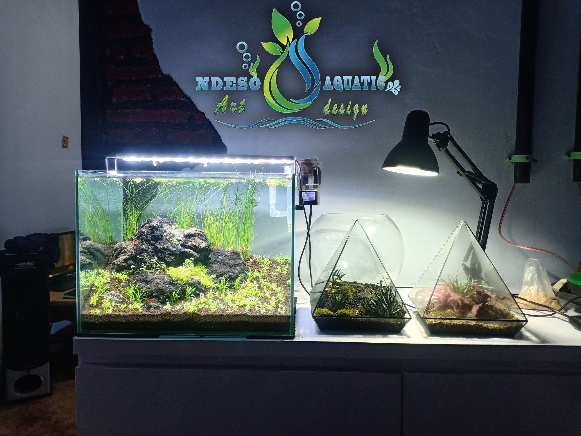 aquascape akuarium design | Lazada Indonesia