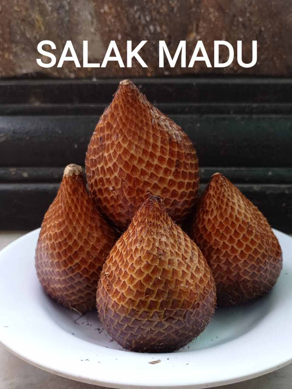 SALAK MADU GRADE A 1KG MANIS ASLI SLEMAN | Lazada Indonesia