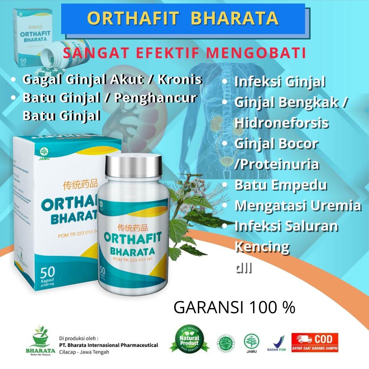 OBAT GINJAL ORTHAFIT BHARATA ORIGINAL 100 % | Lazada Indonesia