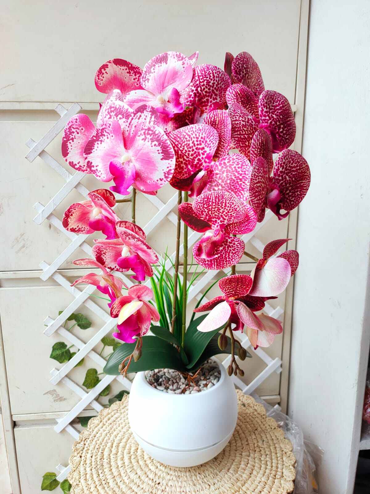 bunga anggrek latex jumbo kombinasi dua warna bisa pilih sendiri warna ...