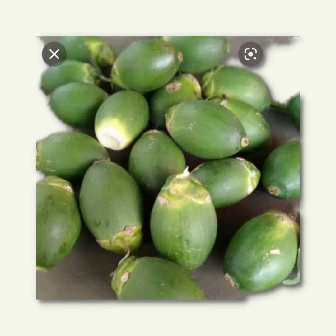 Pinang muda Segar Jambe Muda | Lazada Indonesia