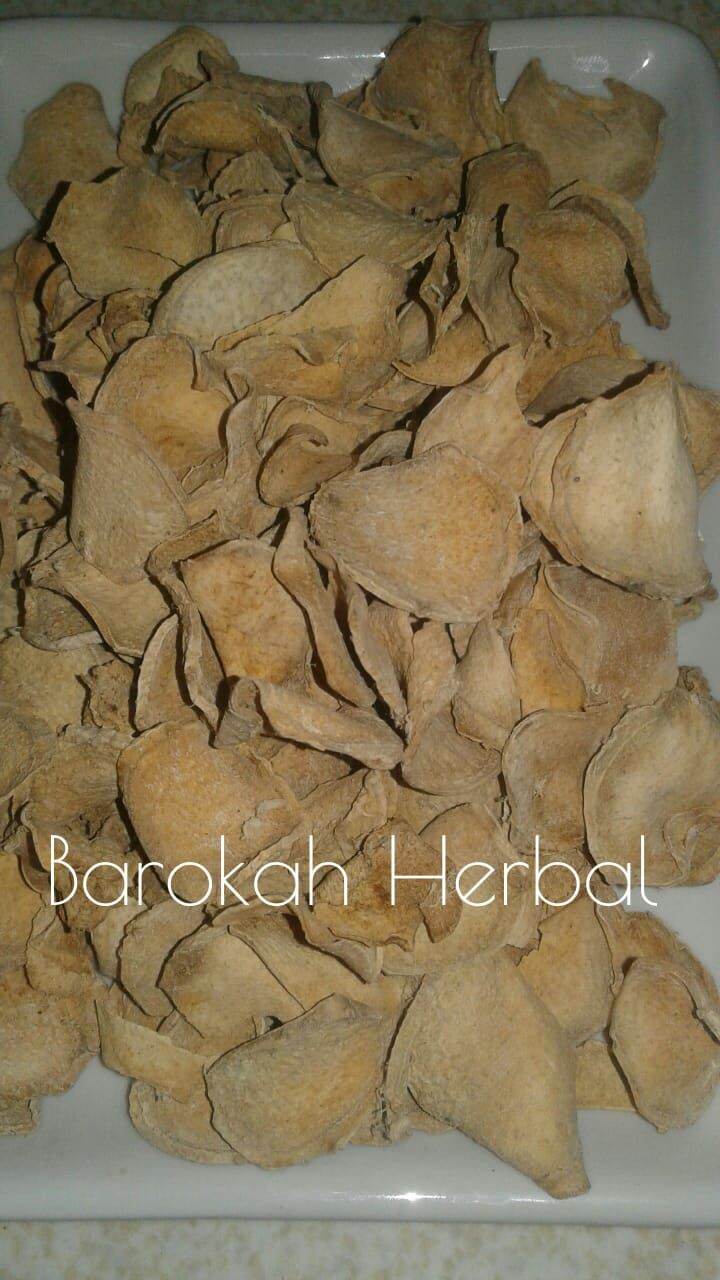 Kunyit Putih Kering / Temu Putih Kering / Curcuma Zedoaria Kering / COD ...