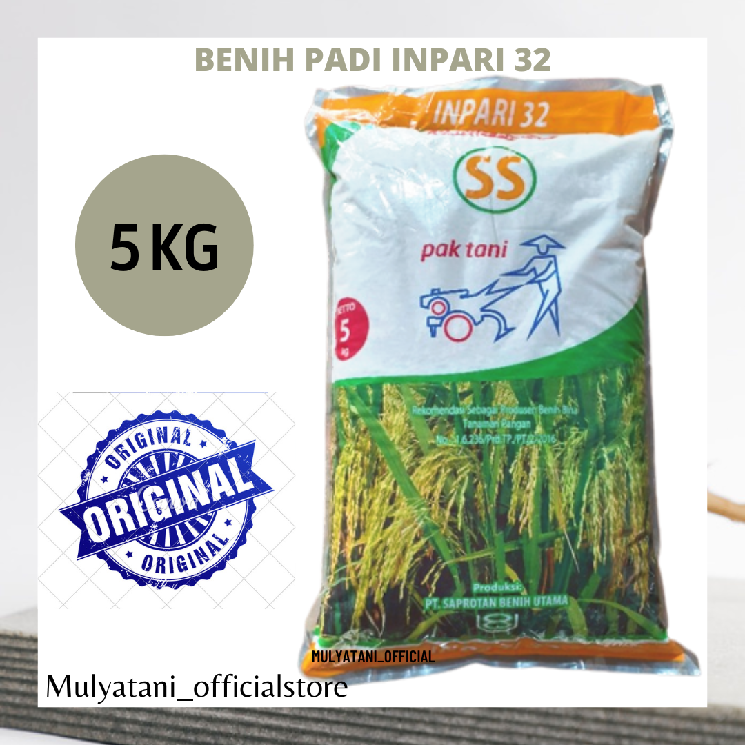 Bibit Benih Siap Tanam Padi Inpari 32 Prima Saprotan Utama Pak Tani 5 ... Bibit Benih Siap Tanam Padi Inpari 32 Prima Saprotan Utama Pak Tani 5 ...