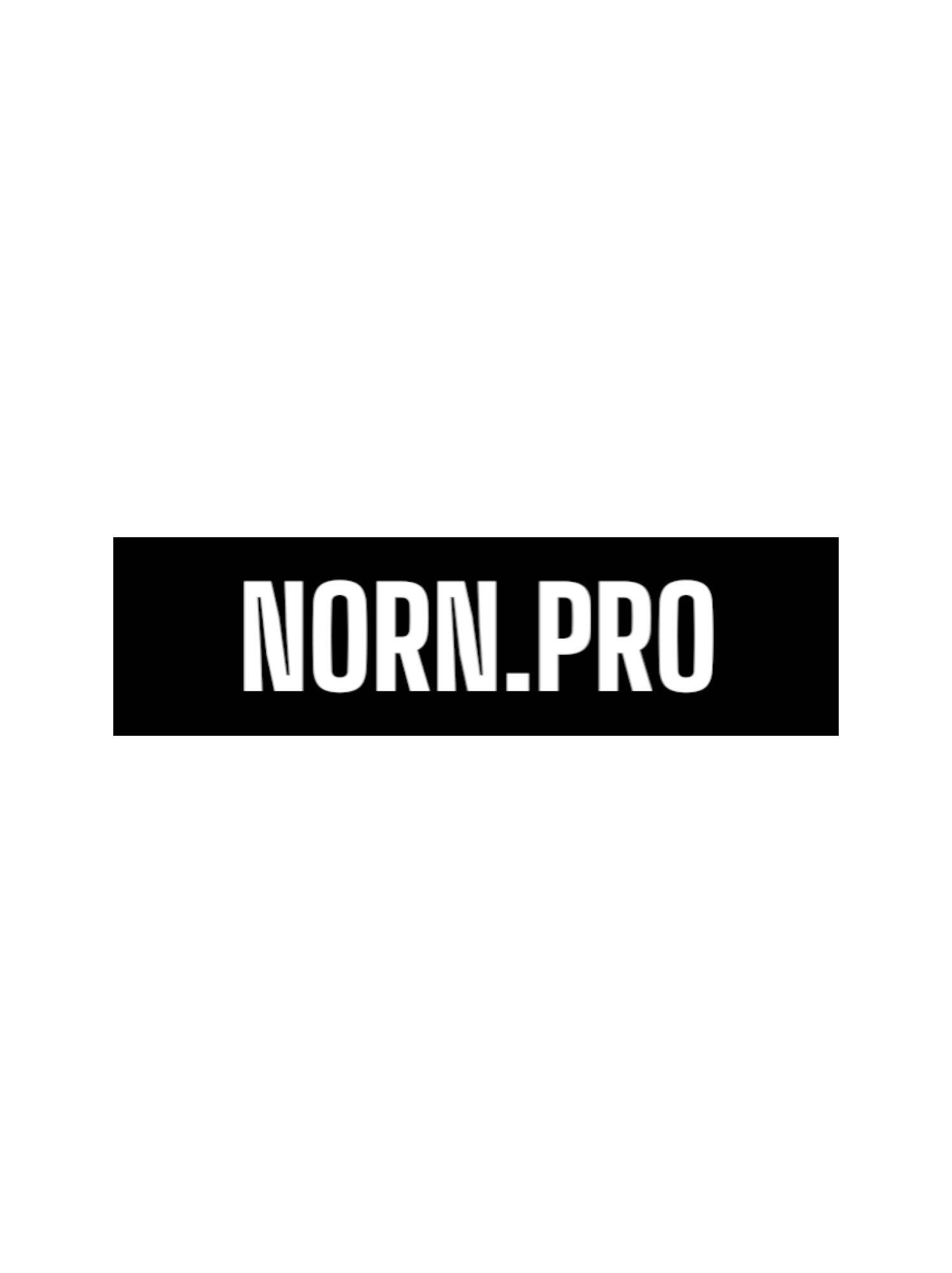 NORN RACING PROJECT Toko resmi di Indonesia, Online Shop 02 2025