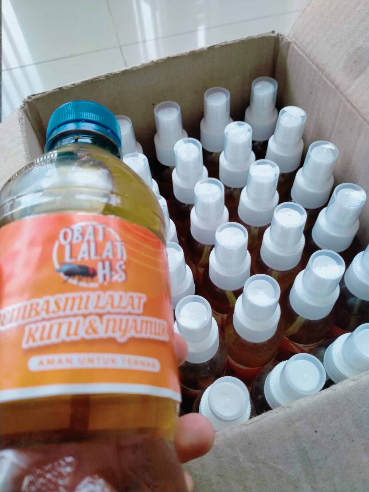 Obat lalat untuk sapi obat pembasmi lalat pada sapi kambing domba ...