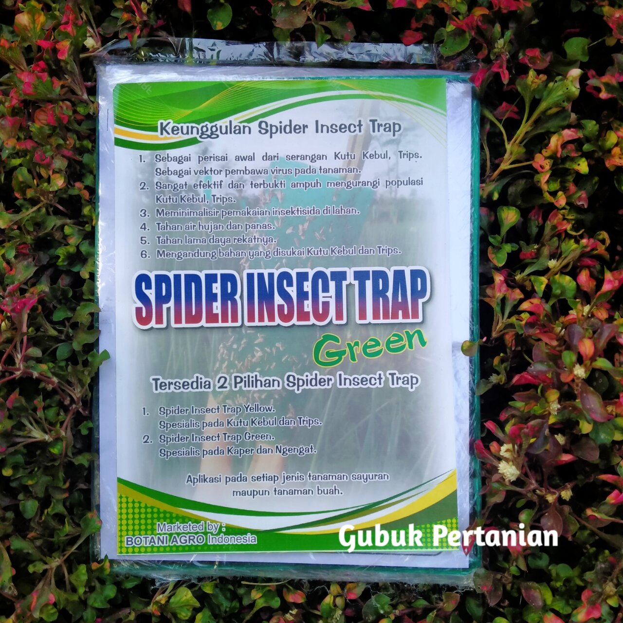 SPIDER INSECT TRAP GREEN Perekat Atau Perangkap Hama Tanaman Isi 20 ...