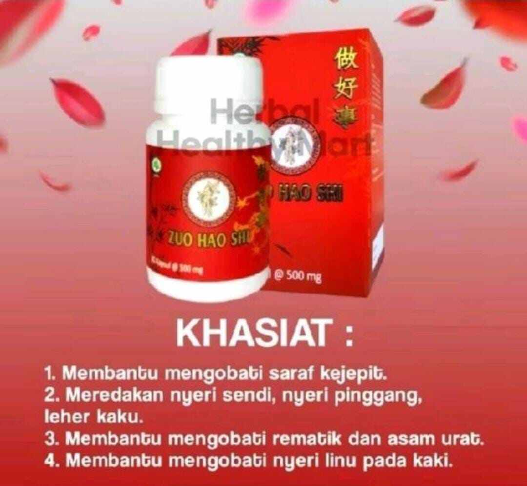 ZUO HAO Shi Original Obat Herbal Cina Mengatasi Nyeri Sendi Saraf ...