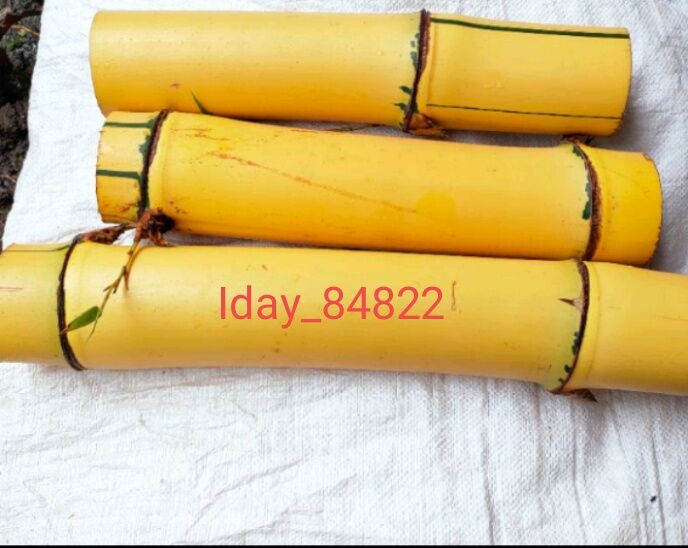bambu kuning besar potongan 50,40 30 20 10 cmbambu kuning bambu hiasan ...