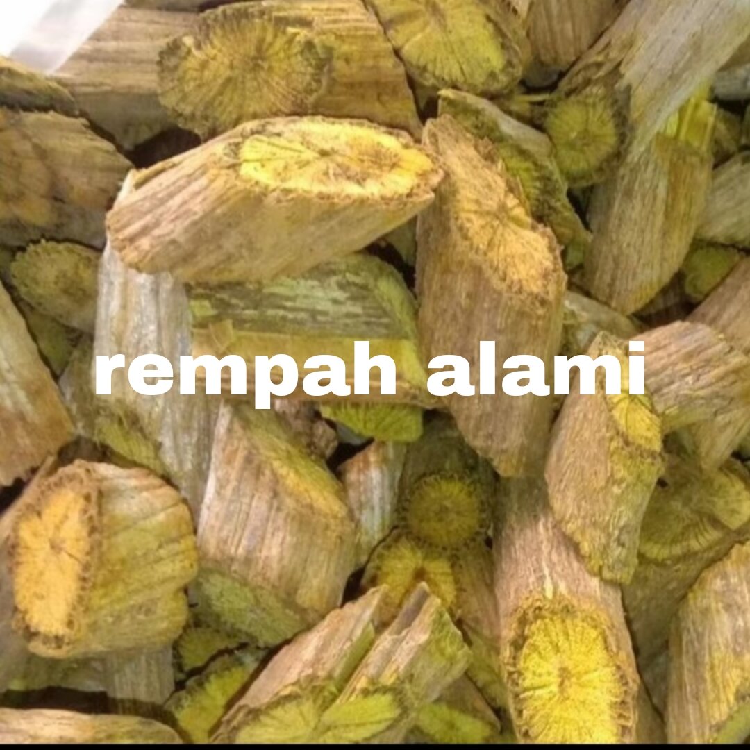 Akar kuning/Fibraurea Chloroleuca 100gr | Lazada Indonesia