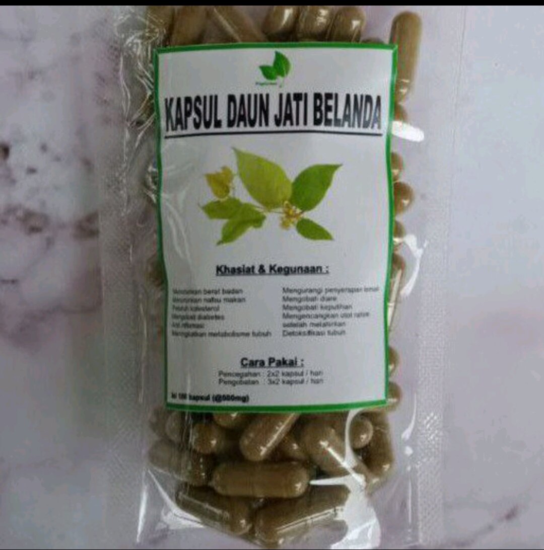 Kapsul Jati Belanda Isi 100 Kapsul | Lazada Indonesia