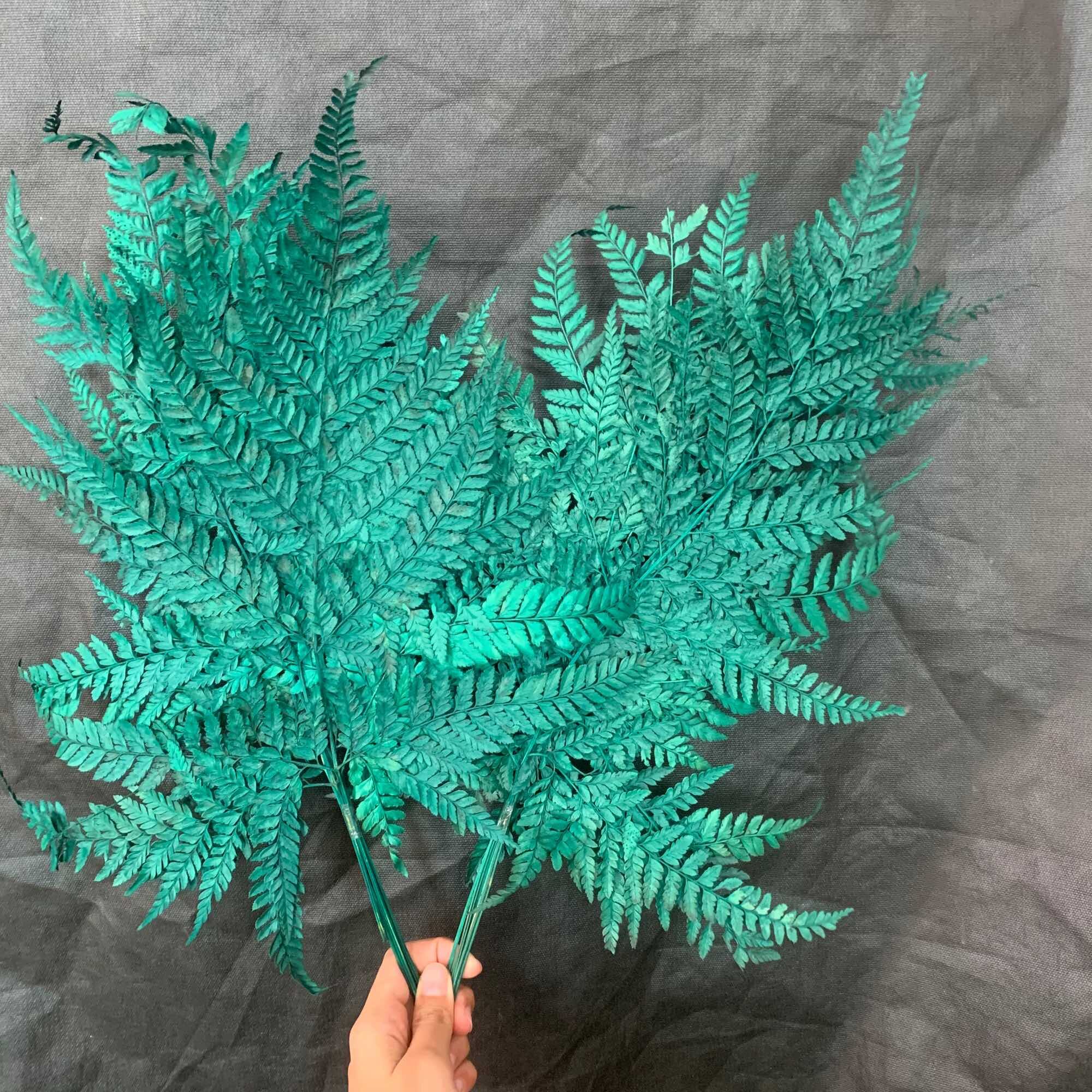 Daun Pakis Kering / Bahan Buket Bunga Kering Dekorasi Rustic Buket ...