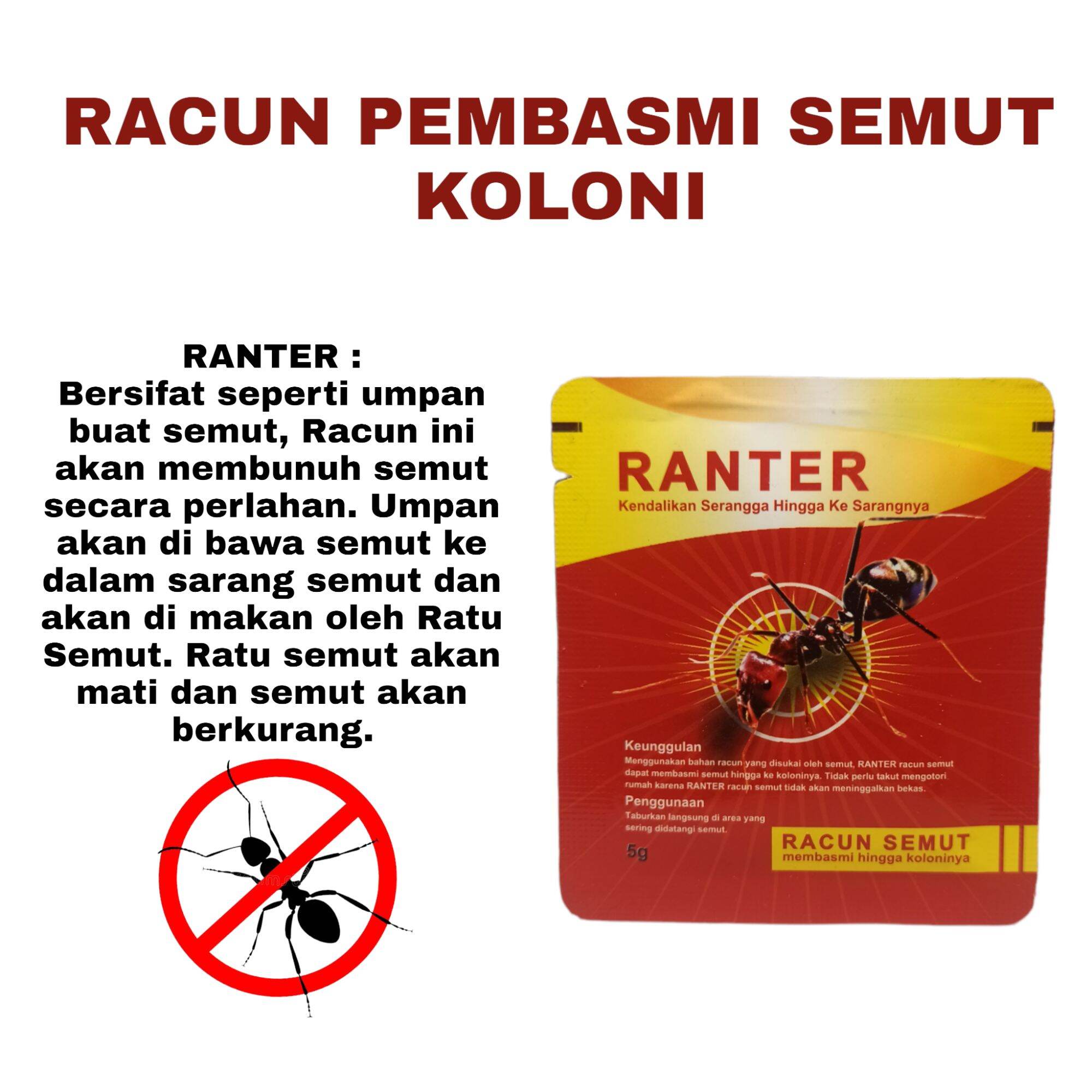 Racun Semut - Racun Semut Koloni 5gr | Lazada Indonesia