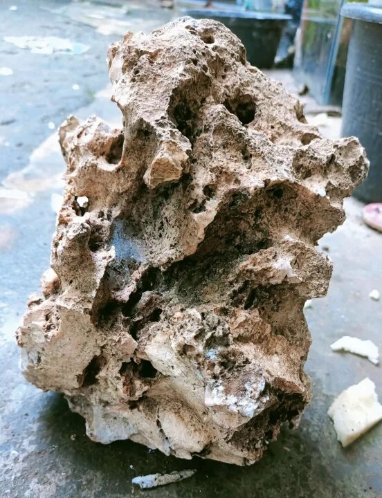 BATU AQUARIUM/AQUASCAPE | Batu karang bonsai/karang gunung /3kg ...